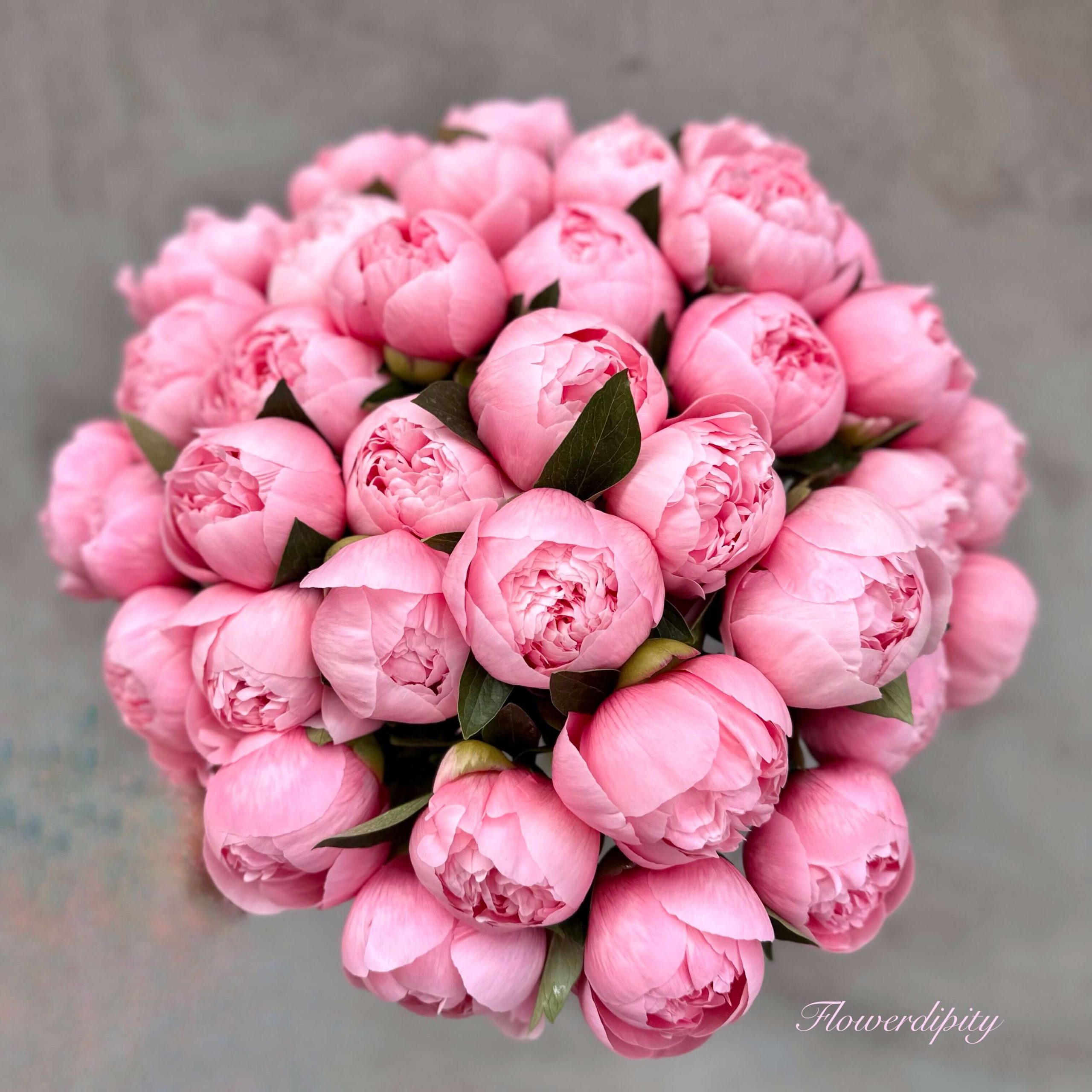 Buchet Bujori Salmon – FLOWERDIPITY